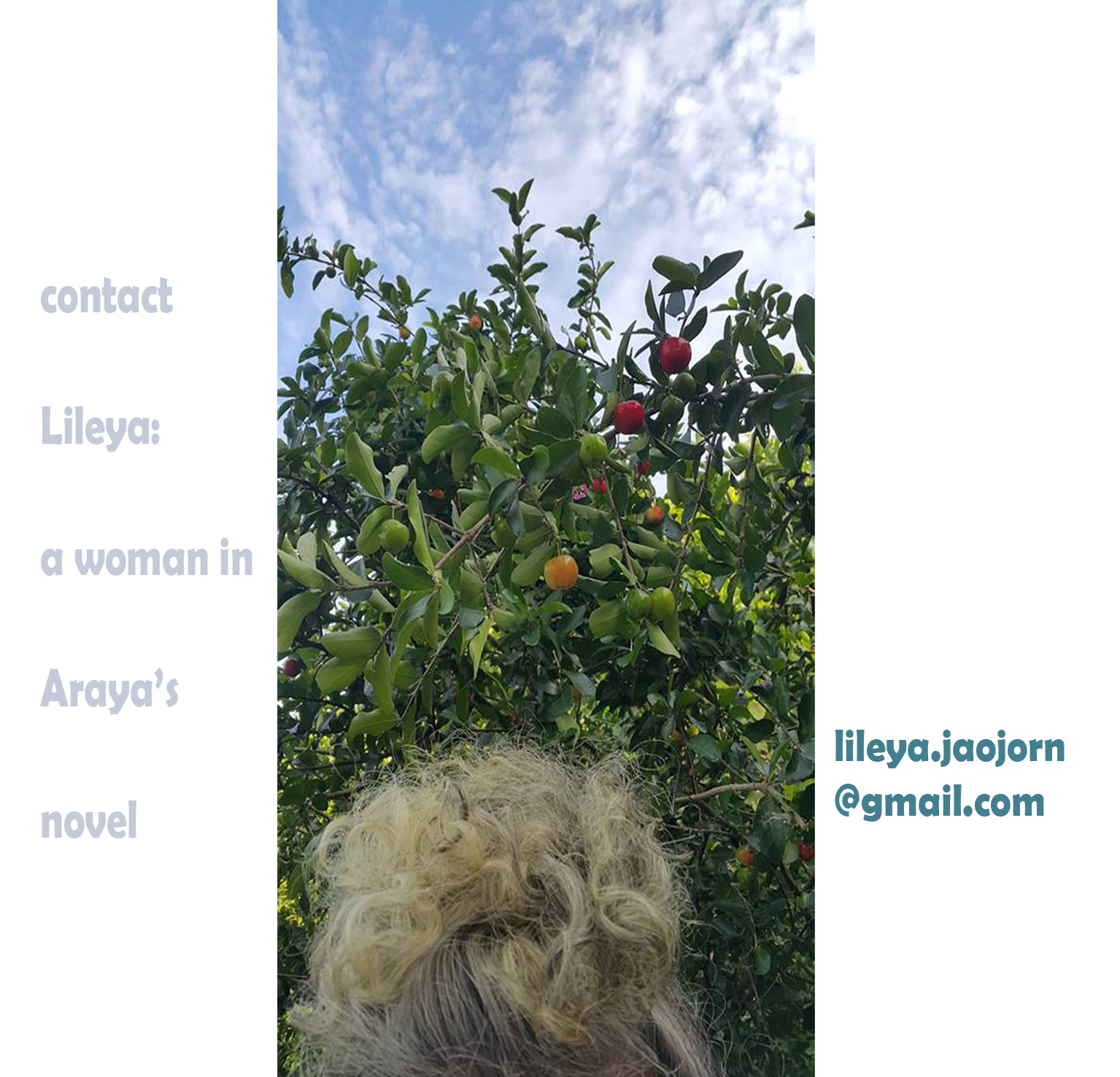 Contact lileya: a woman in araya’s novel – Put her to sleep, save us ...